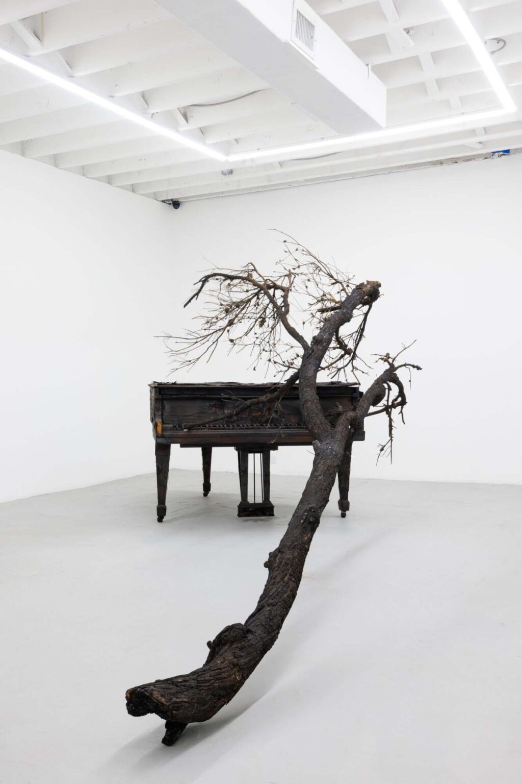 Do Re Do—Alexis Martínez – Little Haiti Little River Art Days